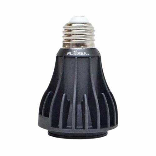 【楽天市場】Ever Sun 365 mini 12W BLACK：Pro Lab. ＆ Healthcare Shop