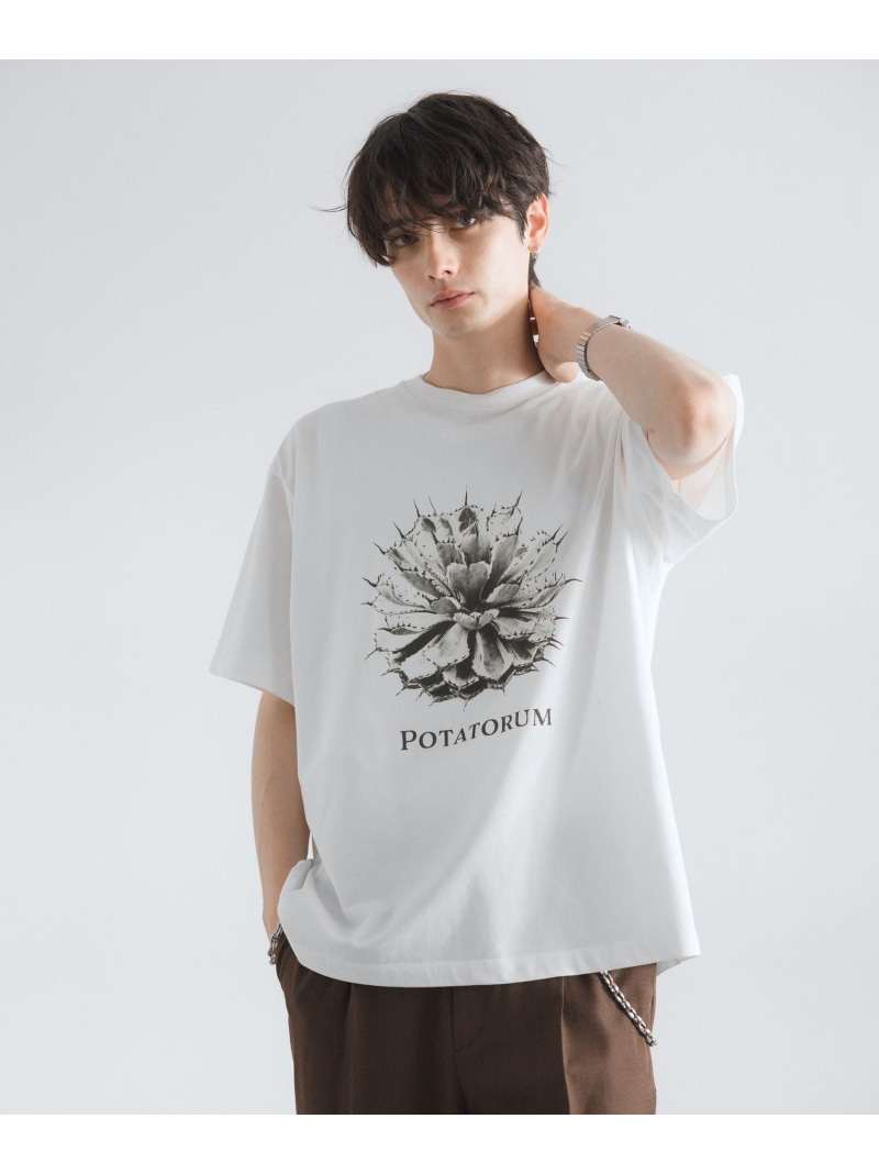 【楽天市場】ボタニカルアート/プリントTシャツ RAGEBLUE レイジブルー トップス カットソー・Tシャツ ベージュ ホワイト ブラック【送料無料】[Rakuten Fashion ...