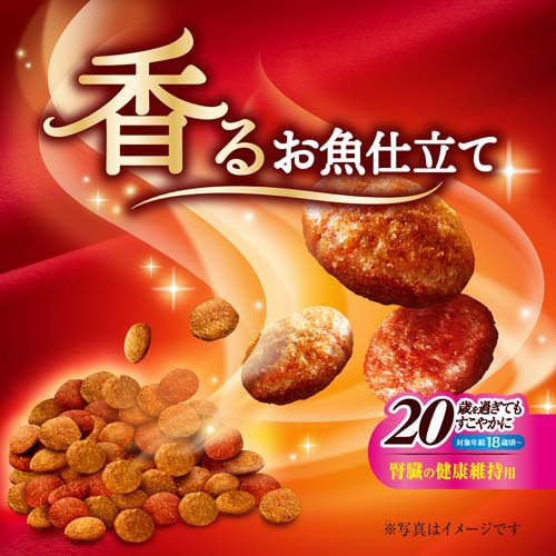 【楽天市場】銀のスプーン 三ツ星グルメ 腎臓の健康維持用 20歳を過ぎてもすこやかに お魚レシピ 240g 【dalc Ginnospoon