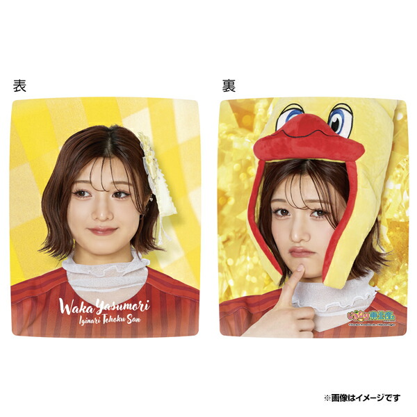 【楽天市場】【受注生産】【2025いぎなり東北産×楽天イーグルス】安杜 羽加│クッション【7月下旬以降発送予定】《楽天イーグルス》【0524 ...