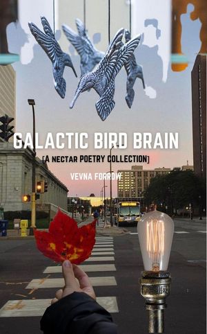 楽天Kobo電子書籍ストア: Galactic Bird Brain [A Poetry Collection] - Vevna Forrow ...