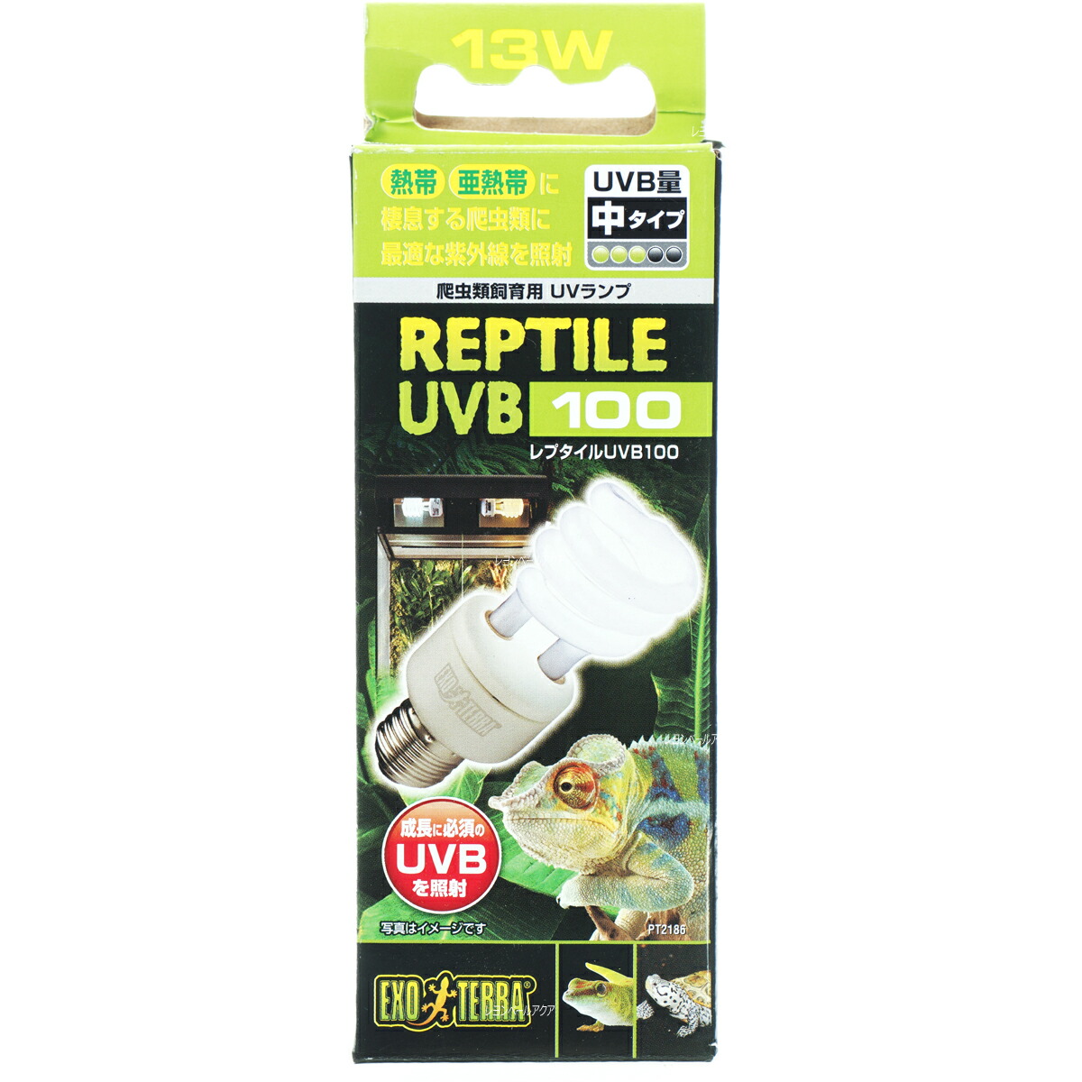 【楽天市場】【全国送料無料】GEX エキゾテラ レプタイルUVB100 13W (緑)：レヨンベールアクア楽天市場店