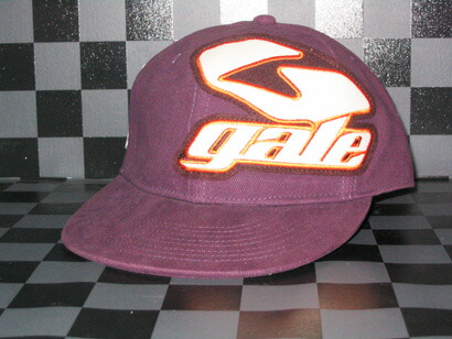 【楽天市場】GALE CAP カラー PURPLE 日本正規品：プロショップ RBS
