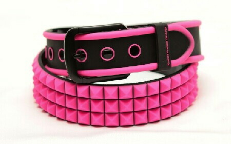 【楽天市場】KFC CANDY ベルトカラー ネオンピンク【キッカーファッカーチキン BELT】715005：プロショップ RBS