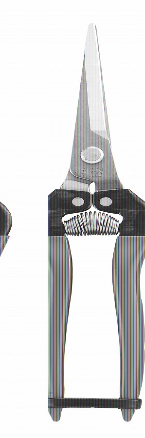 【楽天市場】アルス 摘果鋏エクストラロングタイプステンレス(ブリスタ—パック入り) 300LL—DX—BP：リコメン堂インテリア館