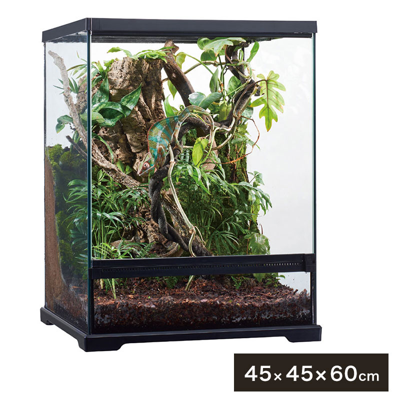 【楽天市場】ジェックス GEX グラステラリウム ドレイン 4560 PT2746 ケージ かご 爬虫類 爬虫類用ケージ ガラス クリアケージ【送料無料】：リコメン堂生活館