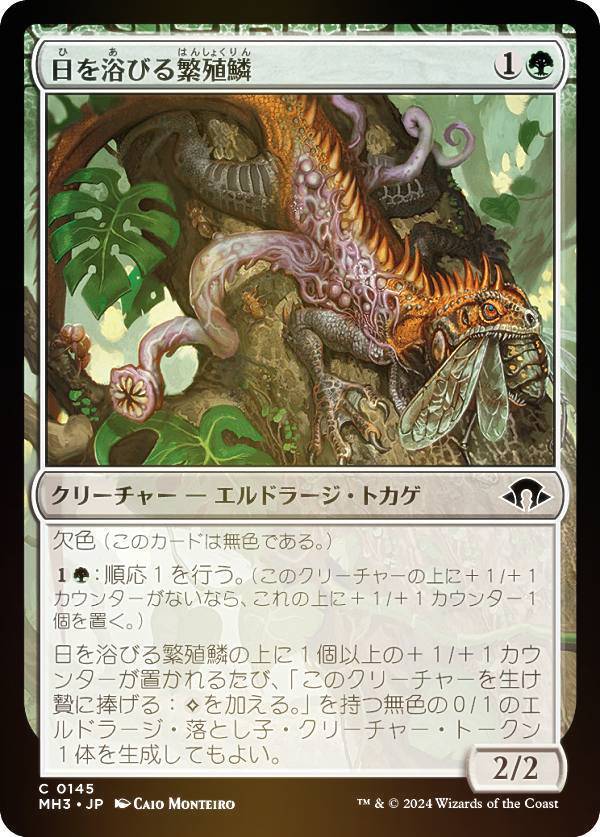 【楽天市場】【FOIL】マジックザギャザリング MH3 JP 0145 日を浴びる繁殖鱗 (日本語版 コモン) モダンホライゾン3 (MTG ...