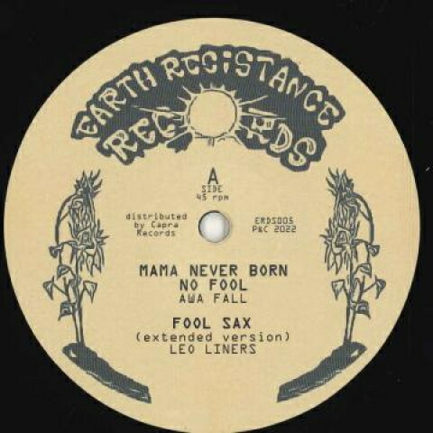 【楽天市場】【新品】英12” Awa Fall; Leo Liners / Galas; Never Born No Fool; Fool ...