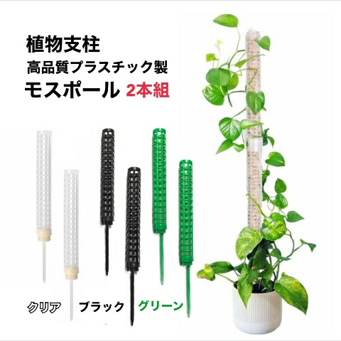 【楽天市場】植物支柱 園芸支柱 モスポール 高品質プラスチック 2本組 水苔 モス 支柱 観葉植物 モンステラ ポトス つる性植物：RED FAIRY