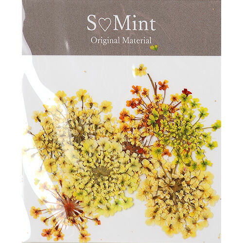 【楽天市場】エスミント Smint Lace Flower ColorSelect イエロー【ゆうパケット】【アート/特殊】SMINT ネイル ...