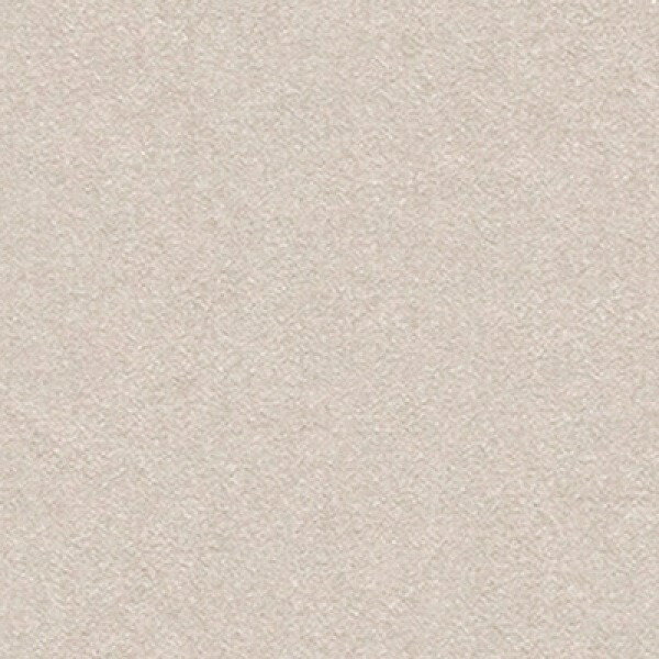 【楽天市場】【最大2000円OFFクーポン有!】壁紙 クロス のりなし トキワ TWP9135 PINEBULL パインブル 2023-2026 モダン グレー モダン・石目調 塩化ビニル樹脂 ...