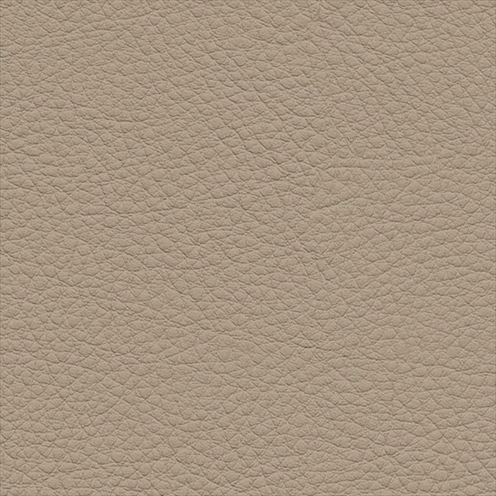 【楽天市場】【2/4 20時～最大2000円クーポン＆P2倍!】椅子生地 10cm単位切売 サンゲツ 品番：UP5033 カラーレザー ベージュ 有効巾122cm UP2024-2028 ...