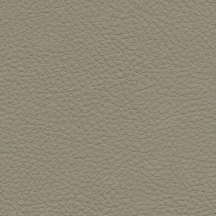 【楽天市場】椅子生地 10cm単位切売 サンゲツ UP5034 カラーレザー ベージュ 有効巾122cm UP2024-2028 自動車用難燃 防炎 イージークリーン 耐アルコール 耐次亜塩素 ...