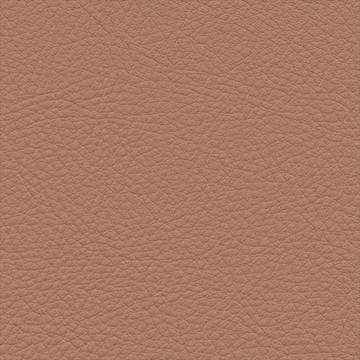 【楽天市場】【最大2000円クーポン★P2倍】椅子生地 10cm単位切売 サンゲツ UP5066 カラーレザー ブラウン 有効巾122cm UP2024-2028 自動車用難燃 防炎 イージー ...