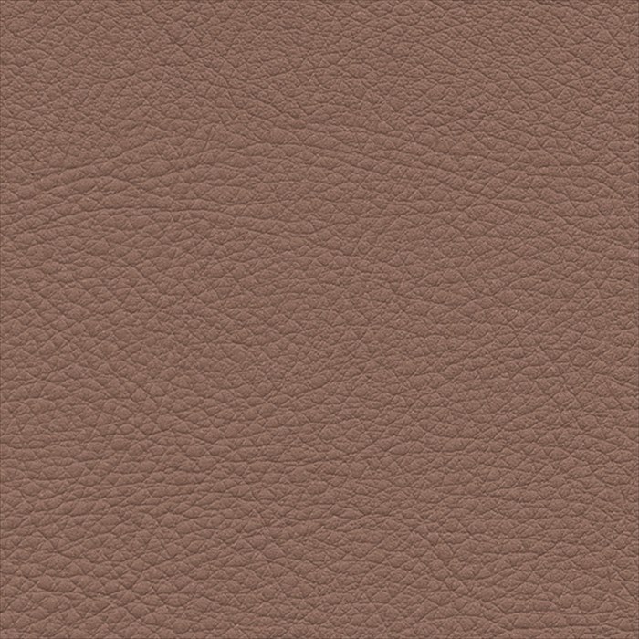 【楽天市場】【最大1000円クーポン★P2倍】椅子生地 10cm単位切売 サンゲツ UP5068 カラーレザー ブラウン 有効巾122cm UP2024-2028 自動車用難燃 防炎 イージー ...