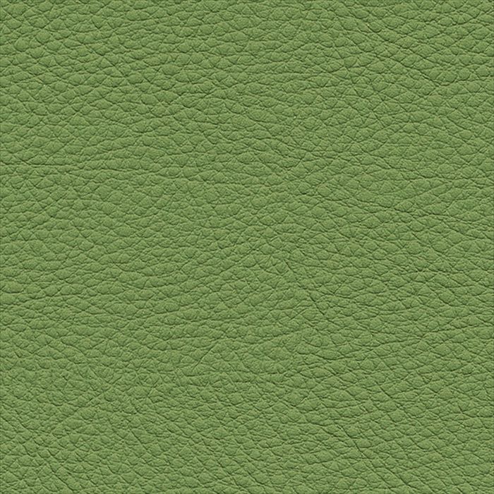 【楽天市場】【最大2000円クーポン★P2倍】椅子生地 10cm単位切売 サンゲツ UP5137 カラーレザー グリーン 有効巾122cm UP2024-2028 自動車用難燃 防炎 イージー ...