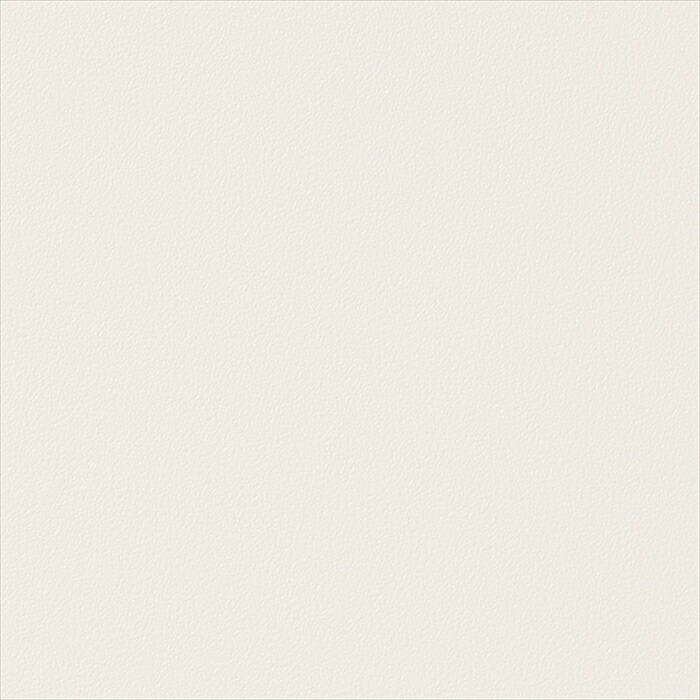 【楽天市場】【最大2000円クーポン★全品P2倍】カッティングシート 10cm単位切売 サンゲツ リアテック TA-4702 無地 ベージュ REATEC リアテック 2024-2026 ...