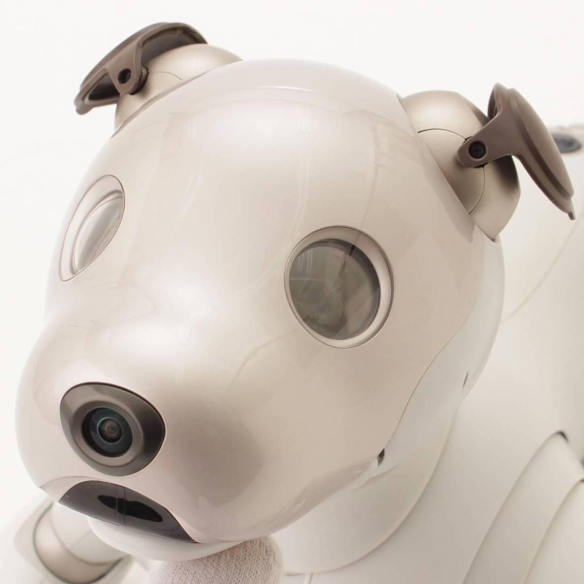 【楽天市場】【ソニー】SONY アイボ aibo 犬 ペットロボット ERS-1000 ホワイト 【中古】【鑑定済・正規品保証】162840：retro
