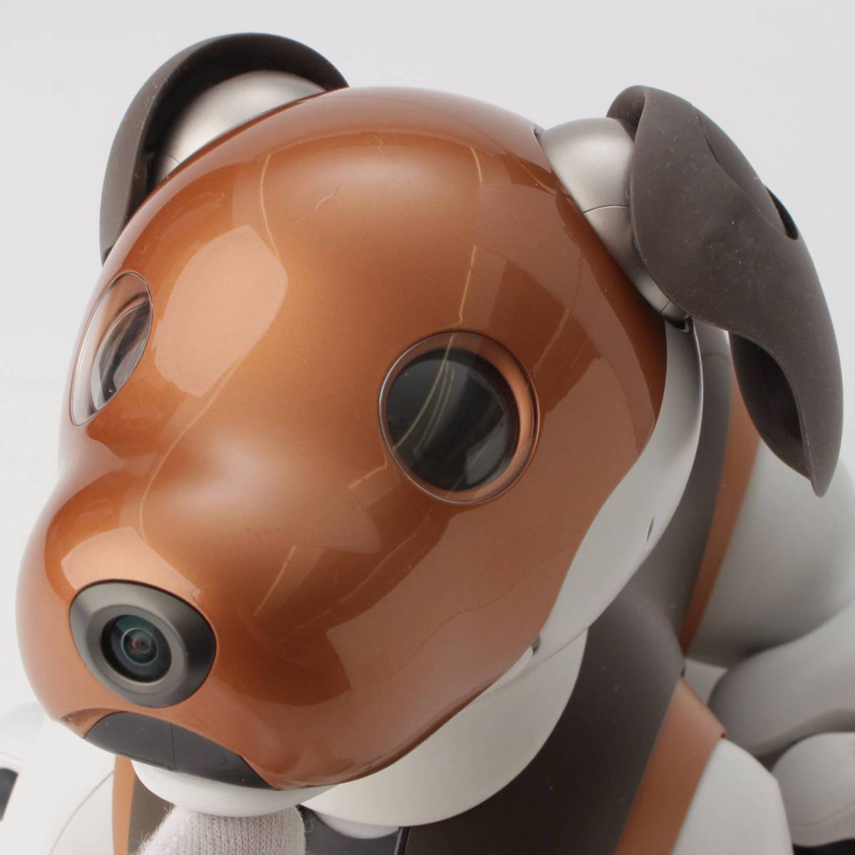 【楽天市場】【ソニー】SONY アイボ aibo 犬 ペットロボット ERS-1000 限定 チョコエディション 【中古】【鑑定済・正規品保証】172120：retro