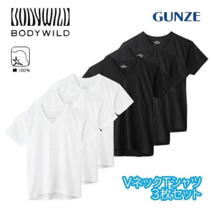 【楽天市場】GUNZE tシャツ メンズ 半袖 VネックTシャツ 3枚組 グンゼ ボディワイルド V首Tシャツ BW5015B S-LL ギフト プレゼント：RIVER BRANCH