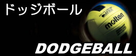 楽天市場】【ISAMI・イサミ】ボクサーヘッドガード フルフェイス 楽天市場】【ISAMI・イサミ】ボクサーヘッドガード フルフェイス