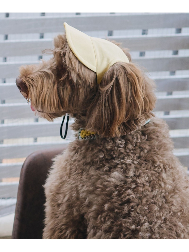 【楽天市場】【DOG】【comif(コミフ)*ROPE' PICNIC】シャイニーキャップ/リンクコーデ ROPE' PICNIC PASSAGE ロペピクニック ペット用品 ペットウェア ...