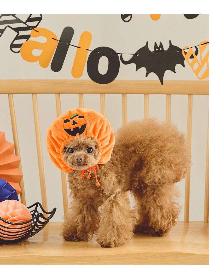 【楽天市場】【DOG】ハロウィンかぼちゃ ROPE' PICNIC PASSAGE ロペピクニック ペット用品 ペットウェア・ペット服 オレンジ[Rakuten Fashion]：ROPE ...