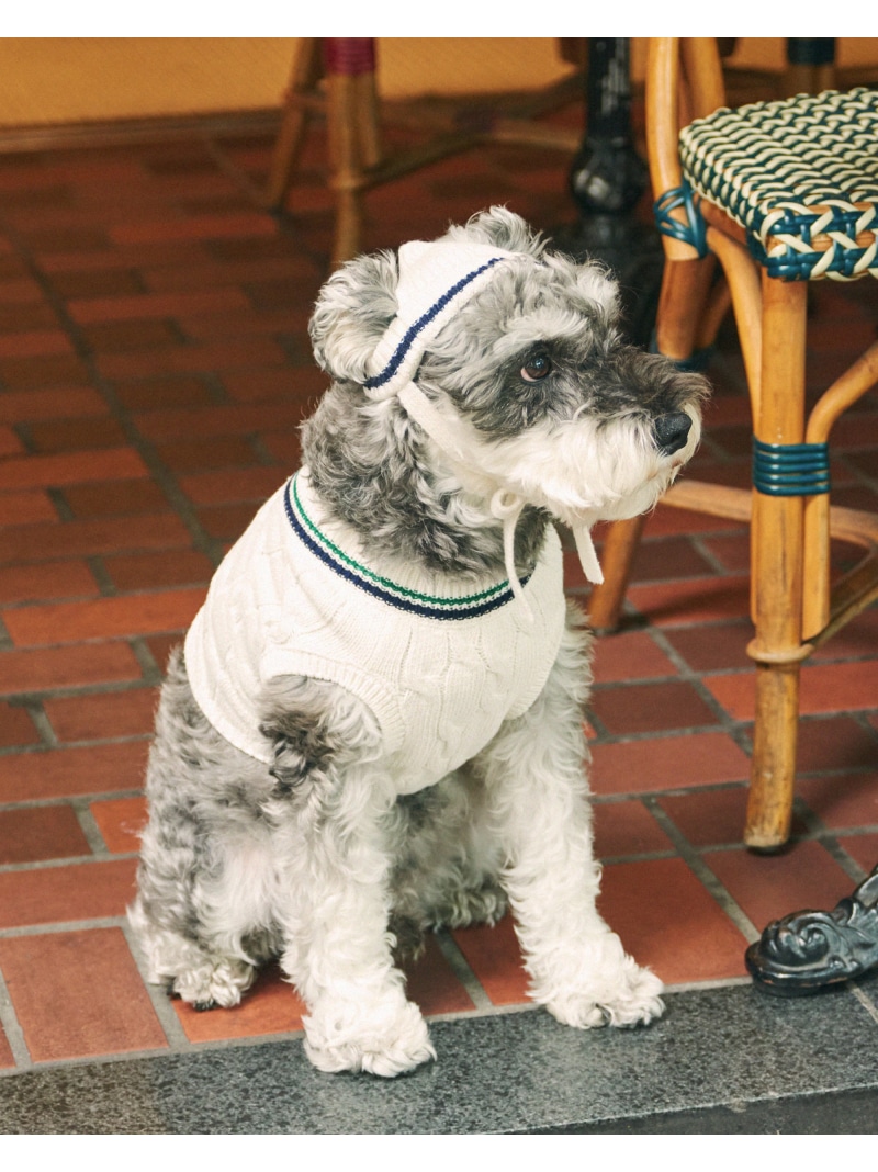 【楽天市場】【SALE／20%OFF】【DOG】チルデンニット/リンクコーデ ROPE' PICNIC PASSAGE ロペピクニック ペット用品 ペットウェア・ペット服 ネイビー ホワイト ...