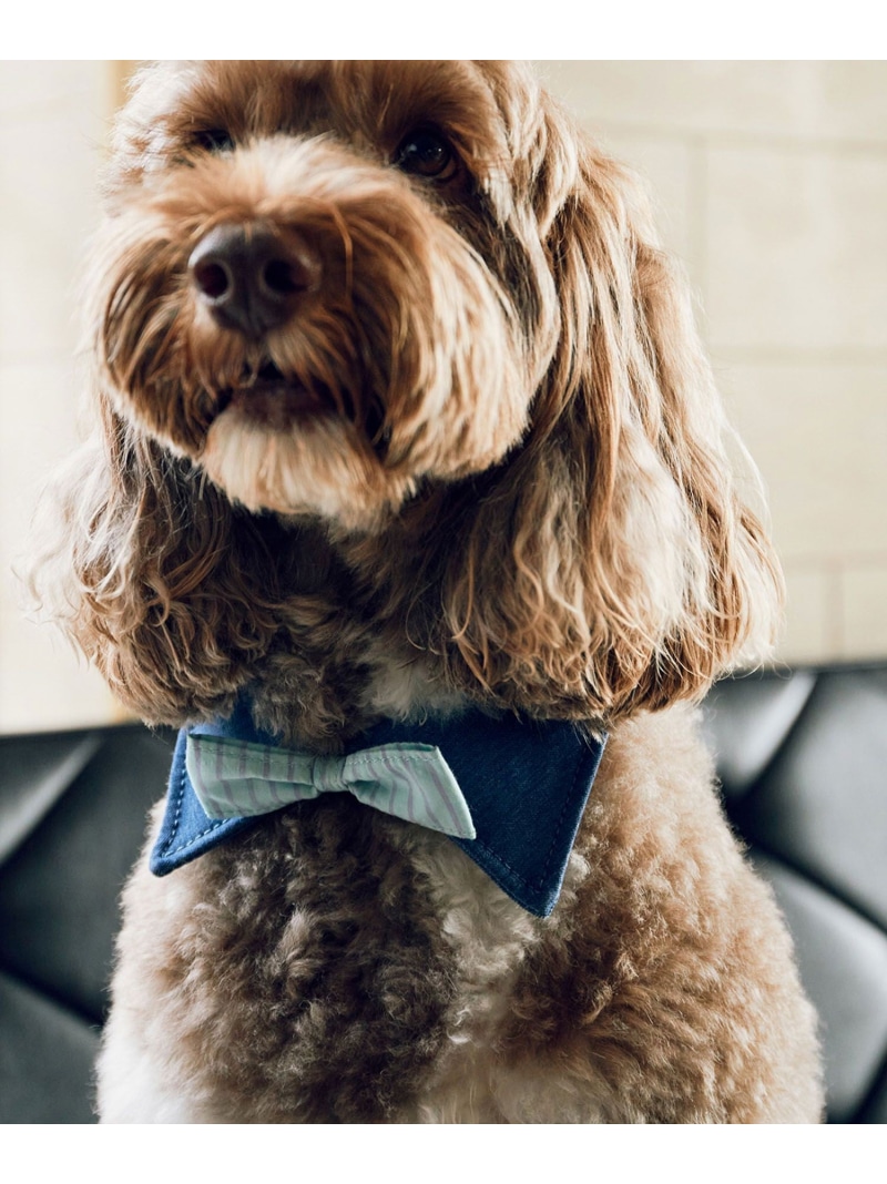 【楽天市場】【SALE／20%OFF】【comif(コミフ)*ROPE' PICNIC】【DOG】襟付き蝶ネクタイ ROPE' PICNIC PASSAGE ロペピクニック ペット用品 ペット ...