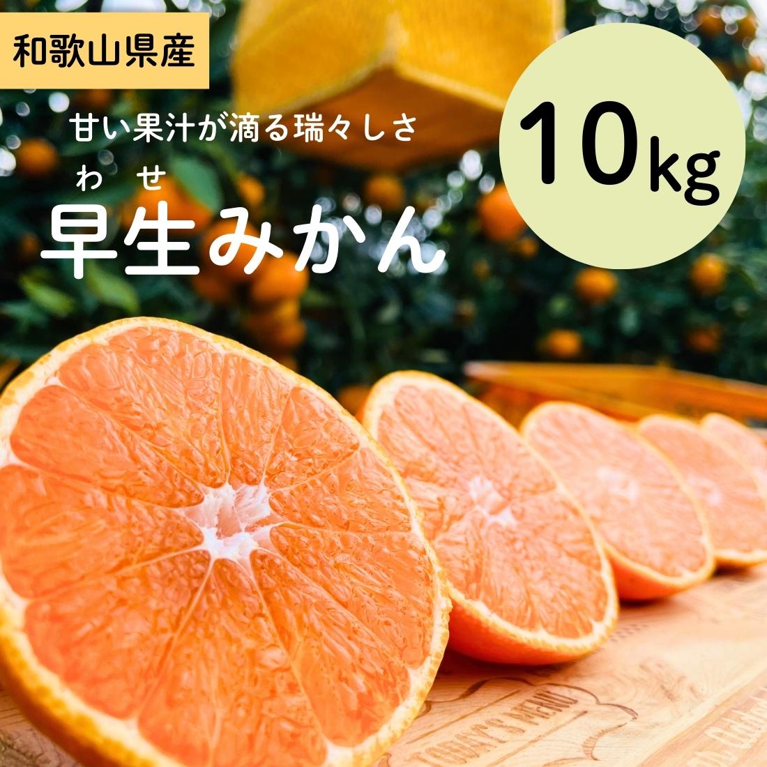 【楽天市場】ホワイトデー お祝い 御歳暮 有田みかん 農園直送 みかん 10kg 秀 2S 3S 混合サイズ 和歌山県産 ギフト 贈り物 ミカン ギフト プレゼント おしゃれ：ワイン ぶどう ...