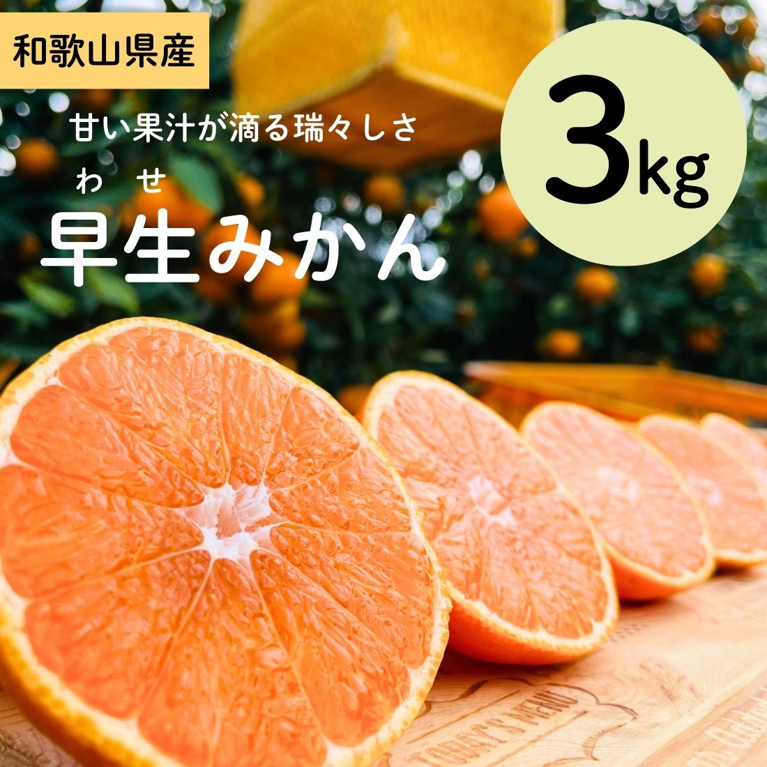 【楽天市場】【お中元 夏ギフト】お祝い 御歳暮 有田みかん 農園直送 みかん 3kg 秀 2S 3S 混合サイズ 和歌山県産 ギフト 贈り物 ミカン ギフト プレゼント おしゃれ 誕生日 ...