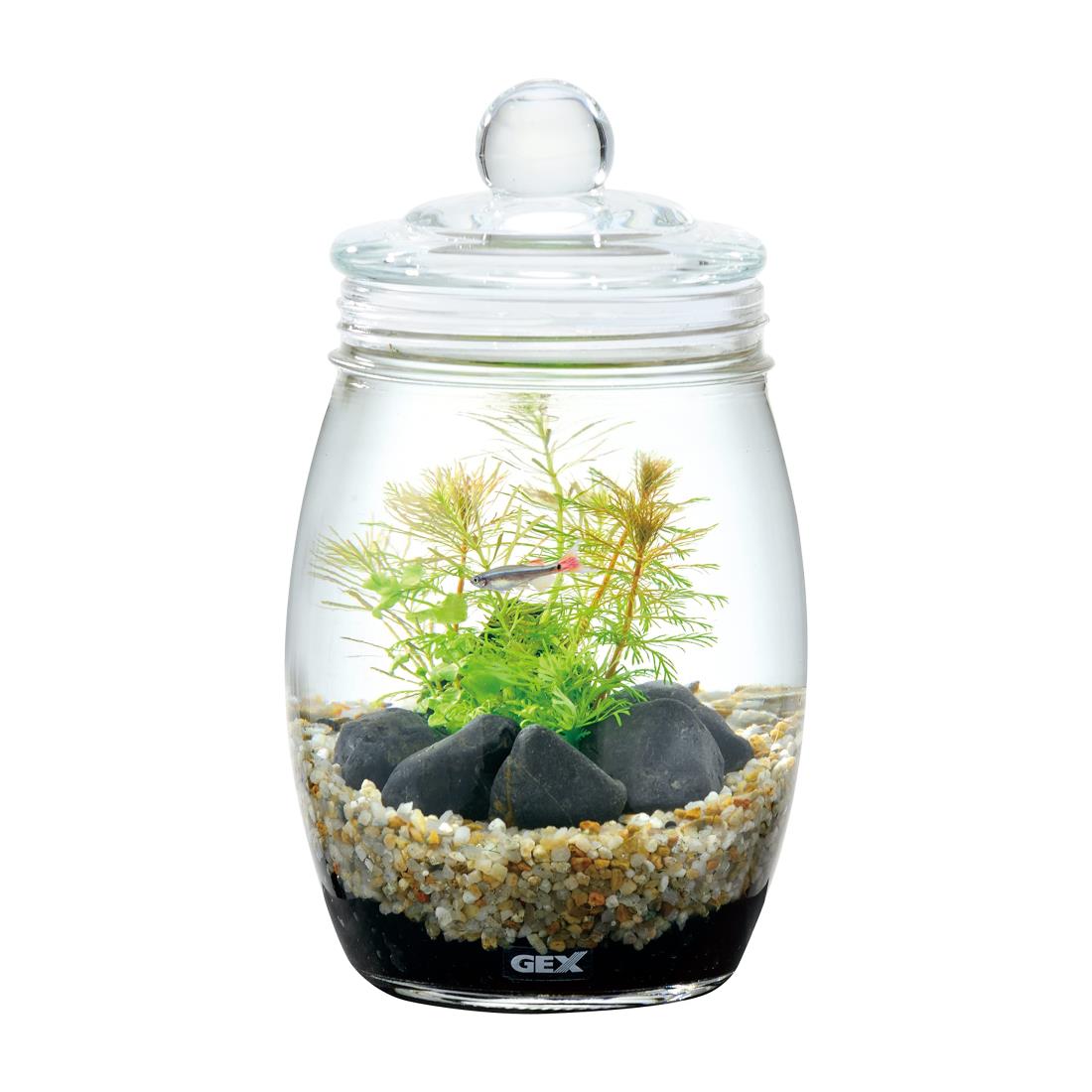 【楽天市場】GEXジェックス ボトリウム ネイチャーセット ブラウン：S4Gオンラインショップ