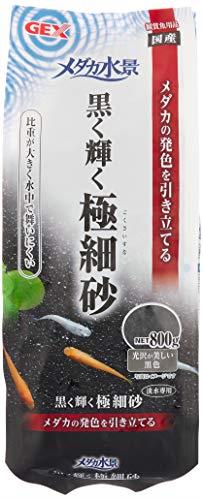 【楽天市場】ジェックス GEX メダカ元気 メダカ水景 黒く輝く極細砂 800g：S4Gオンラインショップ