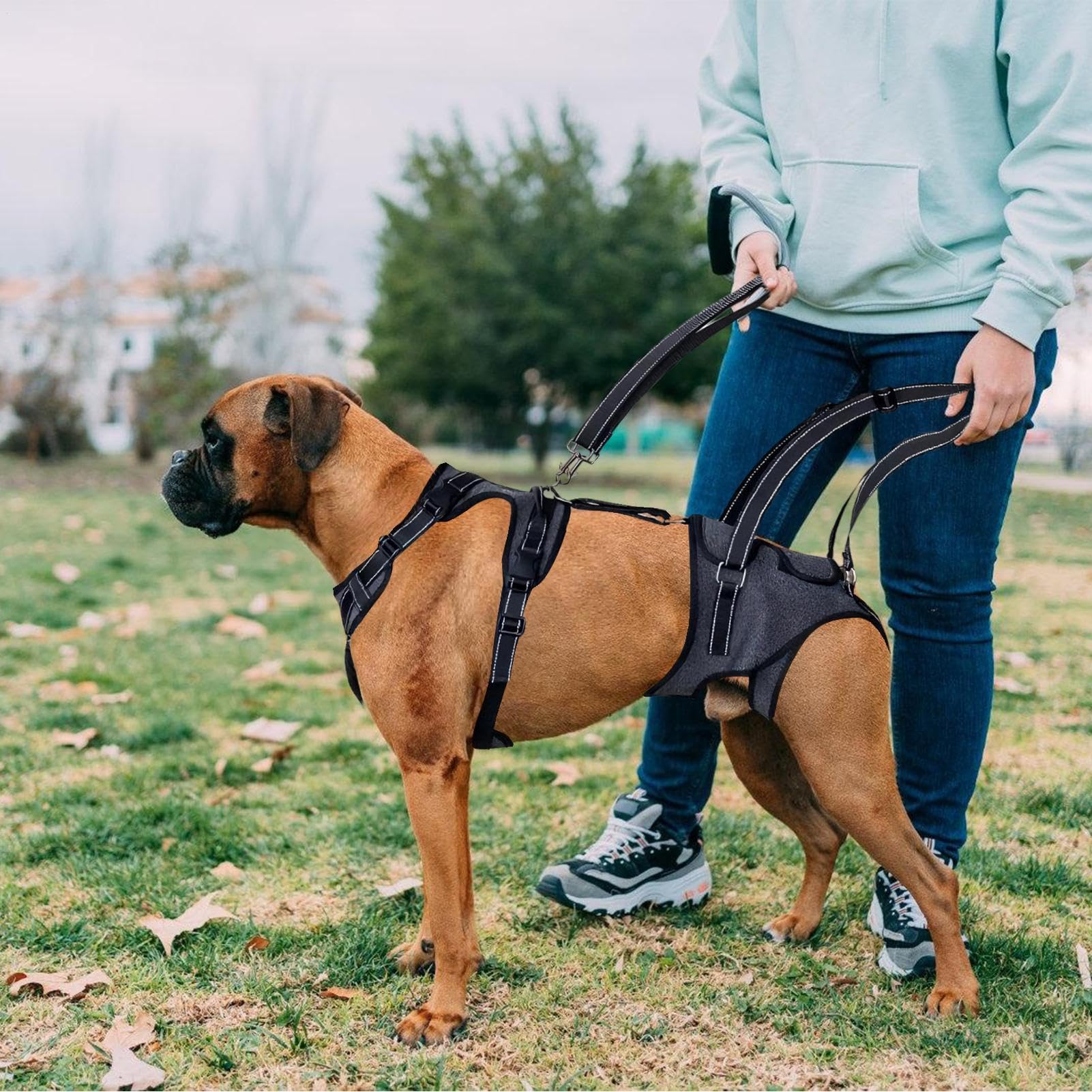【楽天市場】ペットサポートハーネス - 怪我からの回復のための犬用リフティングスリング、移動補助ブレース、全身キャリー支援モビ負リティ| 高齢 ...