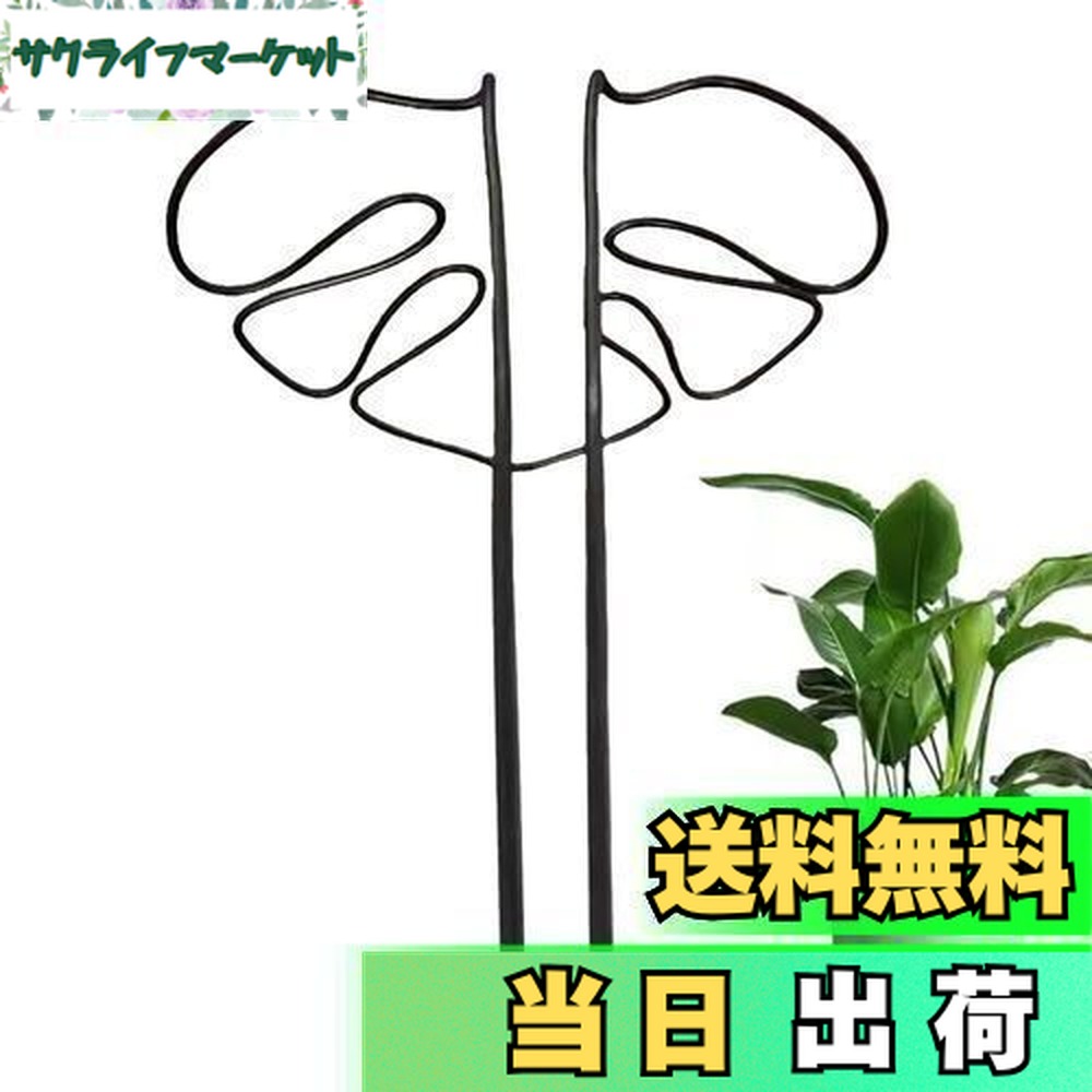 【楽天市場】GLOWZEN モンステラ 支柱 園芸支柱 観葉植物 植物サポート 花支架 ガーデニング支柱 モンステラフラワースタンド 農業用 ...