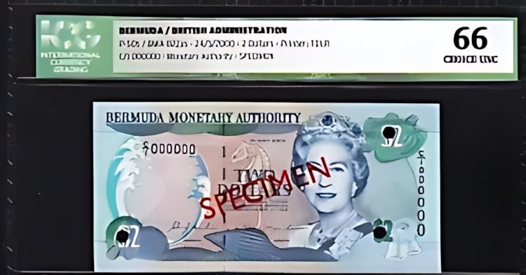 【楽天市場】バミューダ 2 ドル 2000、標本 C/1 000000、ICG 66 CHOICE UNC、P-50s：世界の紙幣・金・銀 ラフテル