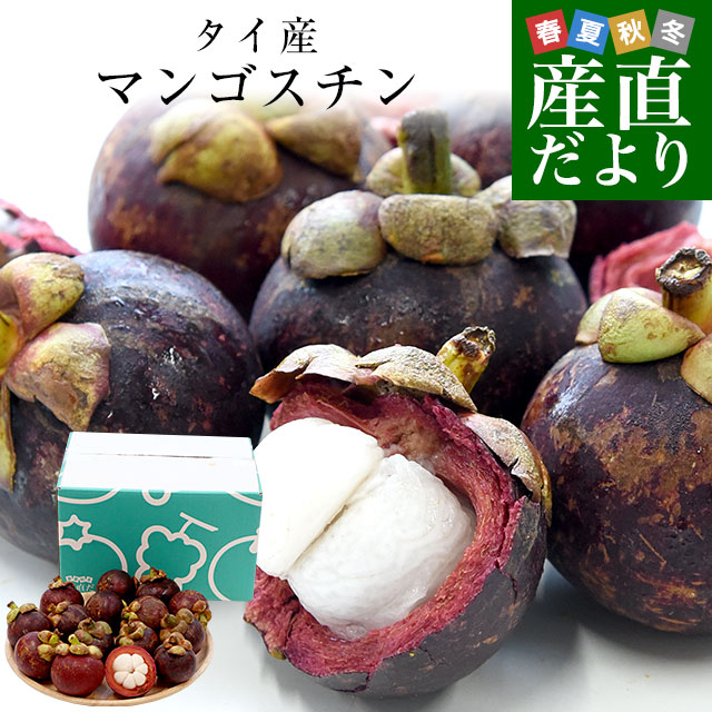 【楽天市場】タイ産 マンゴスチン 合計約950g(15玉前後入り) 送料無料 クール便 果実の女王 世界三大美果物 トロピカルフルーツ まんごすちん：産直だより