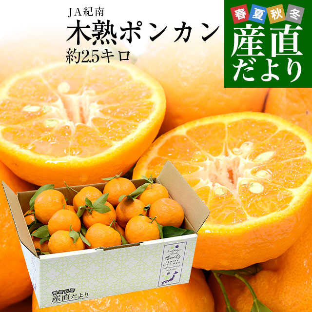【楽天市場】和歌山県産 JA紀南 木熟ポンカン 3LからL 秀品 約2.5キロ（12玉から20玉）送料無料 柑橘 オレンジ ぽんかん 市場発送 ...
