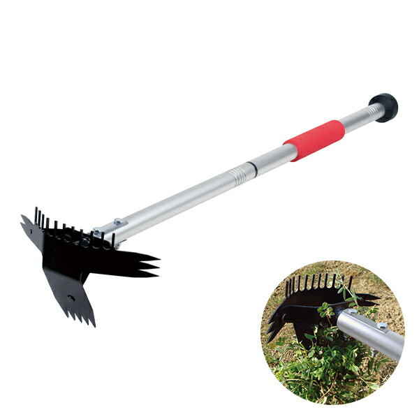 【楽天市場】ゴトウ 草ヌッキー プレミアム 870507 1個：産経ネットショップ