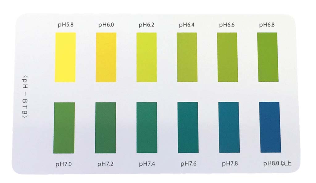 【楽天市場】カラーチャート【比色紙 BTB用】色で濃度を判定 PH測定用 遊離塩素測定 BTB方式 簡単 見やすい 検水 水道水 厨房 プール 排水 産業用装置 クーリングタワー 衛生管理 ...