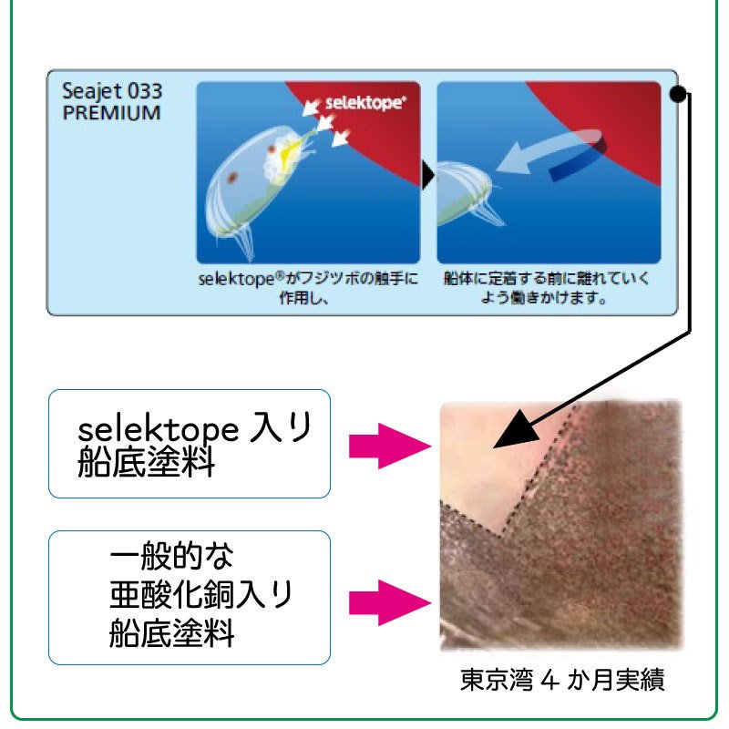 【楽天市場】中国塗料 シージェット SEAJET SEA JET 033 プレミアム ブラック シャークホワイト ブルー | 黒 白 青 PREMIUM 2L | FRP 亜酸化銅 船 ボート ...