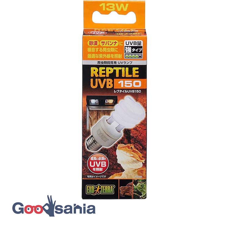 【楽天市場】ジェックス レプタイルUVB150 13W PT2188 ( GEX エキゾテラ UVB 紫外線 照射 ランプ 紫外線ライト UVランプ 爬虫類 )：Goodsania