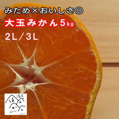 【楽天市場】愛媛 みかん大玉 訳あり5kg 2L～3L みため×おいしさ 極早生みかん 早生ミカン 南柑20号 お買得セール フルーツ 産地直送【送料無料※北海道・沖縄は除く】清家ばんかん ...