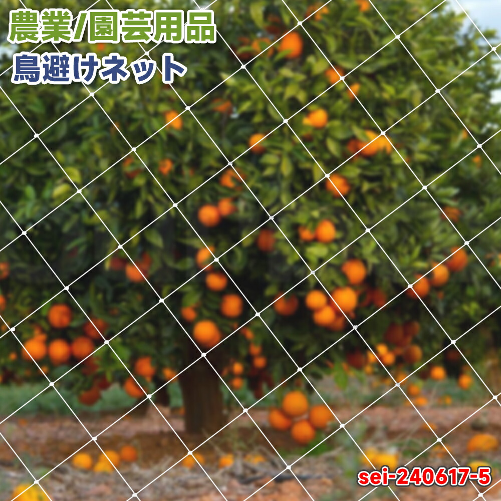【楽天市場】\24h限定！ 10/10 ポイント5倍／鳥よけネット 防鳥ネット 鳥害対策 防鳥防獣網 園芸つるネット 家庭菜園ネット 農業用品 透明ネット 耐久性 ベランダ 農業用品 侵入 ...