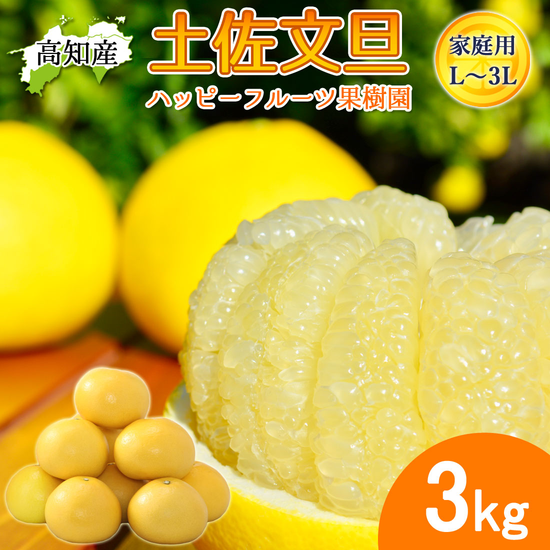 【楽天市場】【予約】 文旦 土佐文旦 家庭用 3kg L～3Lサイズ 5～6玉 ハッピーフルーツ果樹園 宿毛文旦 産直 高知産 宿毛 ぶんたん ...