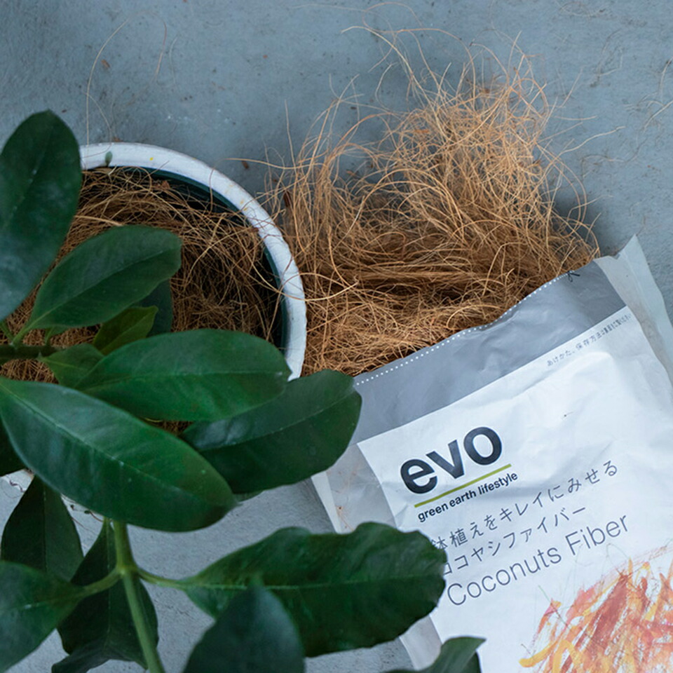 【楽天市場】evo ココヤシファイバー＜2L＞ マルチング材 カバーリング材 マルチ DoLABO 花ごころ エボ おしゃれ 茶色 樹皮 ...