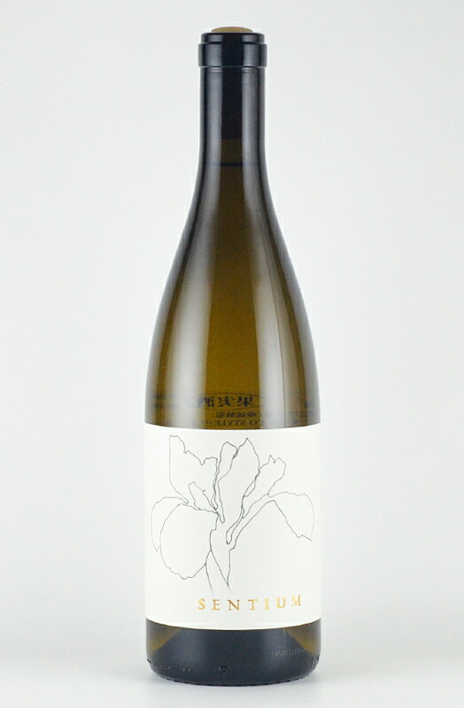 【楽天市場】【店内全品5本で本格缶ワイン&2.2万円木箱特典】センティアム ソーヴィニヨンブラン メンドシーノ[コンティニュアム][2022] Sentium Sauvignon Blanc ...