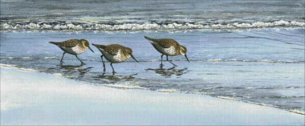 【楽天市場】クロスステッチししゅう図案 ビーチでの朝食 Heaven And Earth Designs 輸入 David Bartholet ...