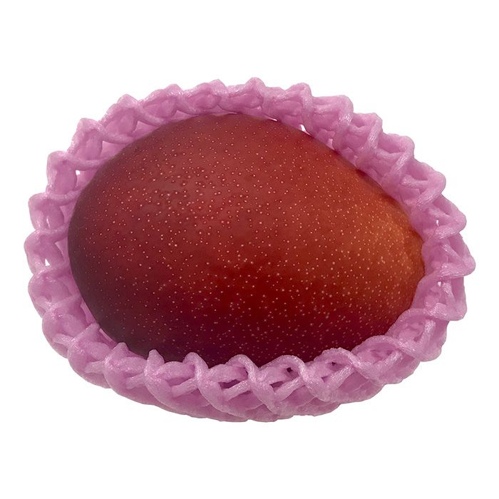 【楽天市場】宮崎県産 完熟マンゴー 2Lサイズ 1玉入り （1パック）：生鮮食品直送便