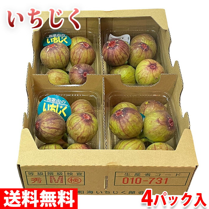 【楽天市場】【送料無料】 和歌山県産 いちじく 秀品 M～Lサイズ 4パック入り（箱）：生鮮食品直送便